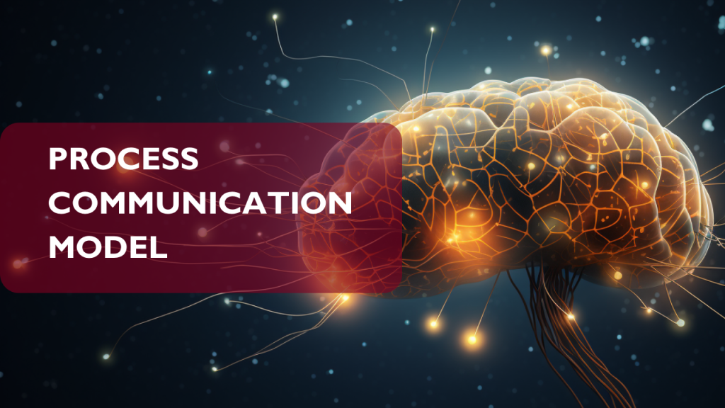 Process Communication Model - Paul Olteanu