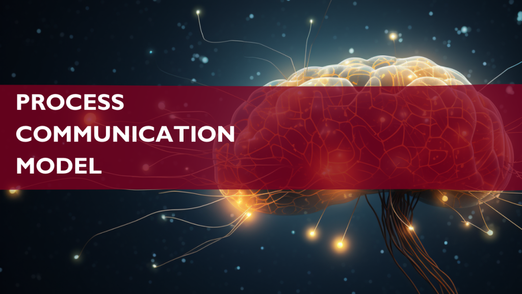 Process Communication Model - Paul Olteanu