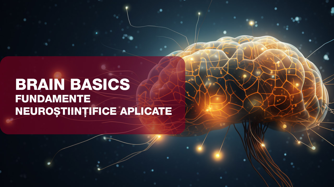 Brain Basics - Fundamente Neuroștiințifice Aplicate - Paul Olteanu