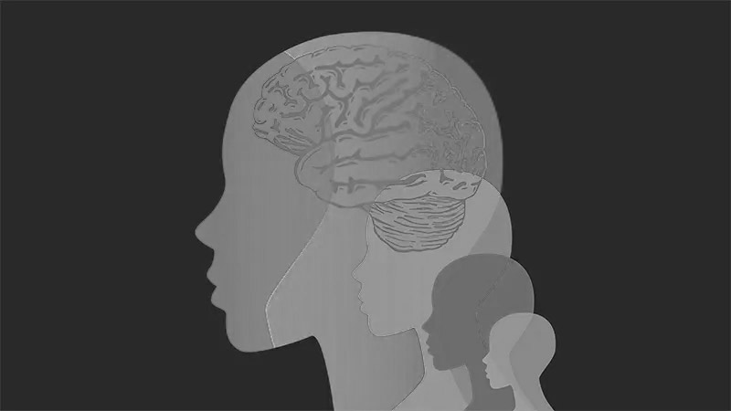 Evaluarea Arhitecturii Personalității - Paul Olteanu